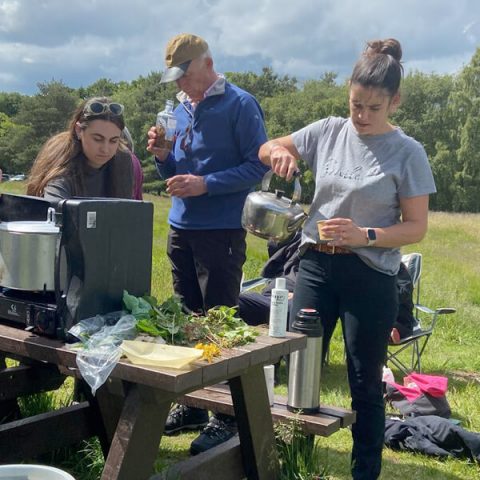 Foraging tour – A La Carte Tours & Events